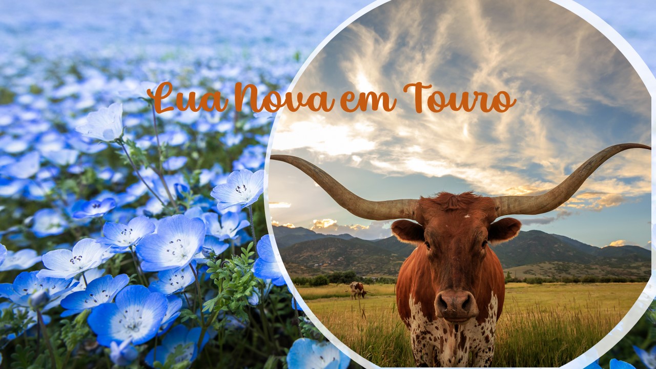 Lua Nova em Touro - O Que Queres Materializar? - Arminda Rosa Mestre