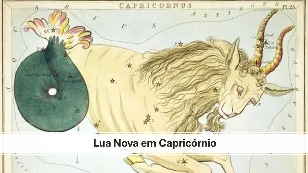 Lua Nova em Capricórnio - Planeia o Novo Ano. - Arminda Rosa Mestre